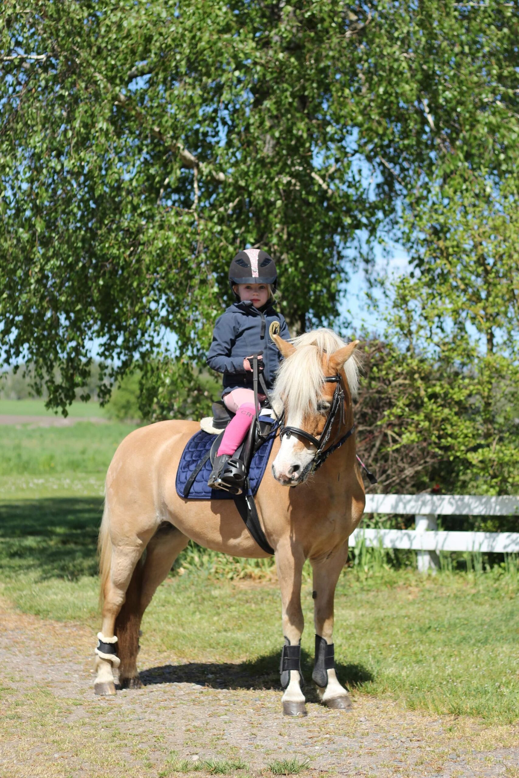 Molly Olsson | TEAM EQUUS FOR HOPE